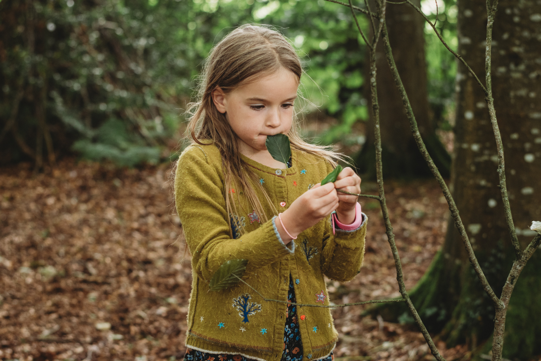 Free Summer Activities Programme For Families With Neurodivergent Children free-summer-activities-programme-for-families-with-neurodivergent-children